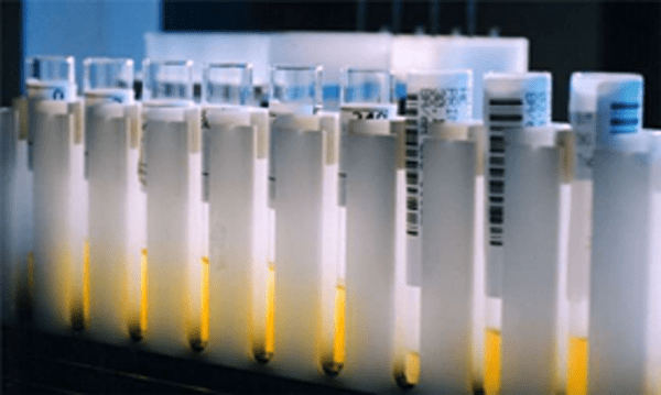 LIMS in Manufacturing: All you need to know! – MOM Institute