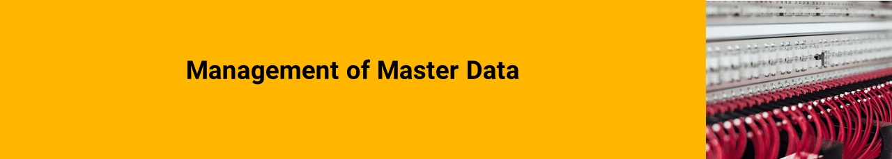 Management of Master Data - MOM Institute